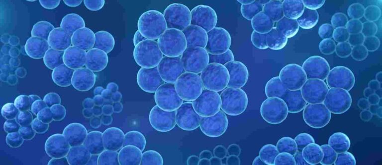 Coagulase Test- Principle, Procedure, Types, Result, Uses